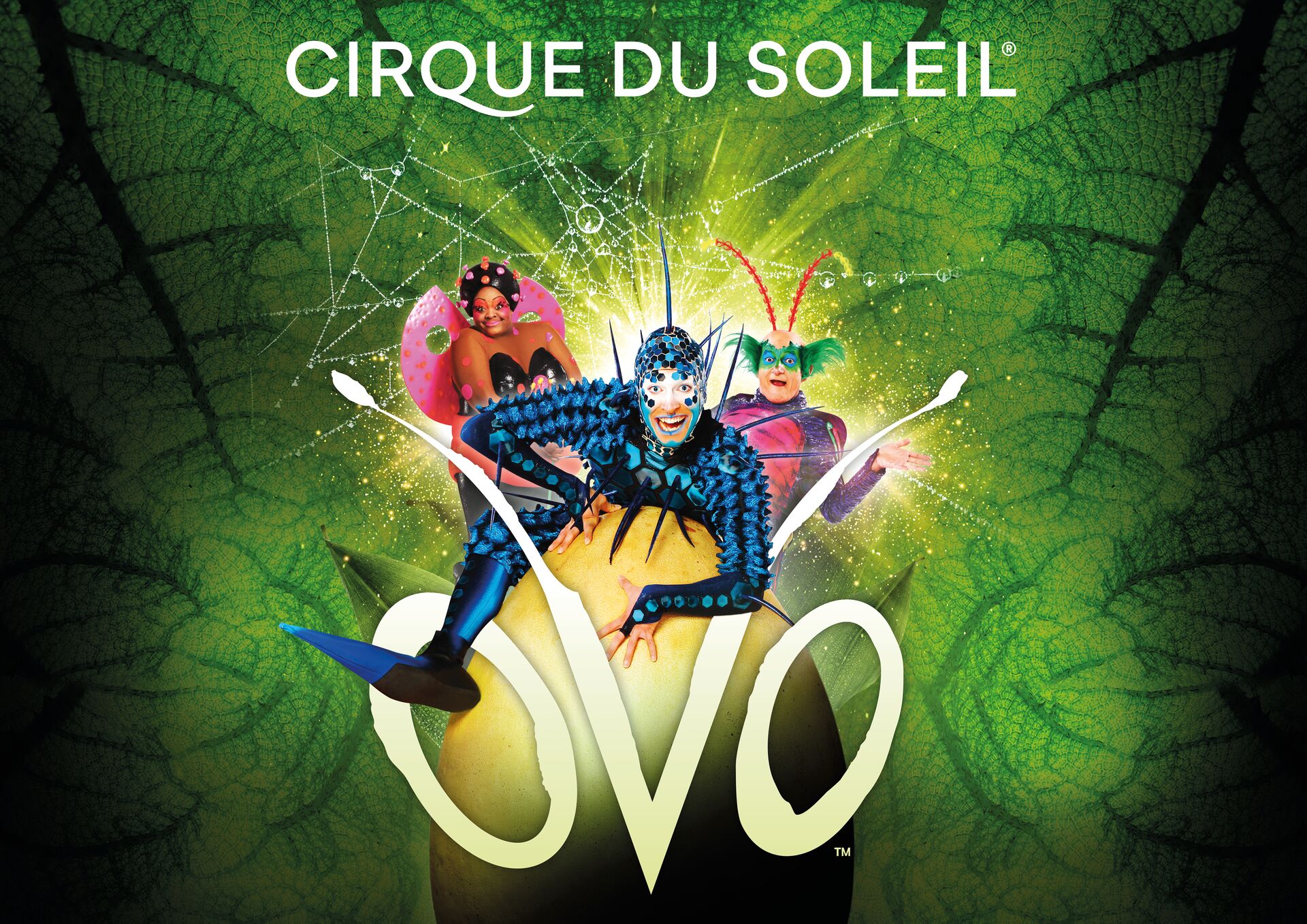 Cirque du Soleil mit OVO in Zürich | PRESTIGE TRAVEL